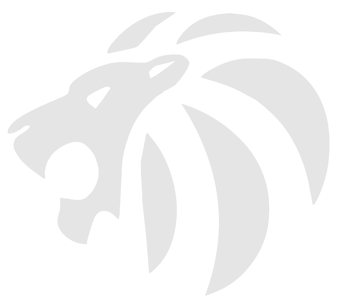 Discover Your Medical Revenue Recovery Solution | Callagy Law